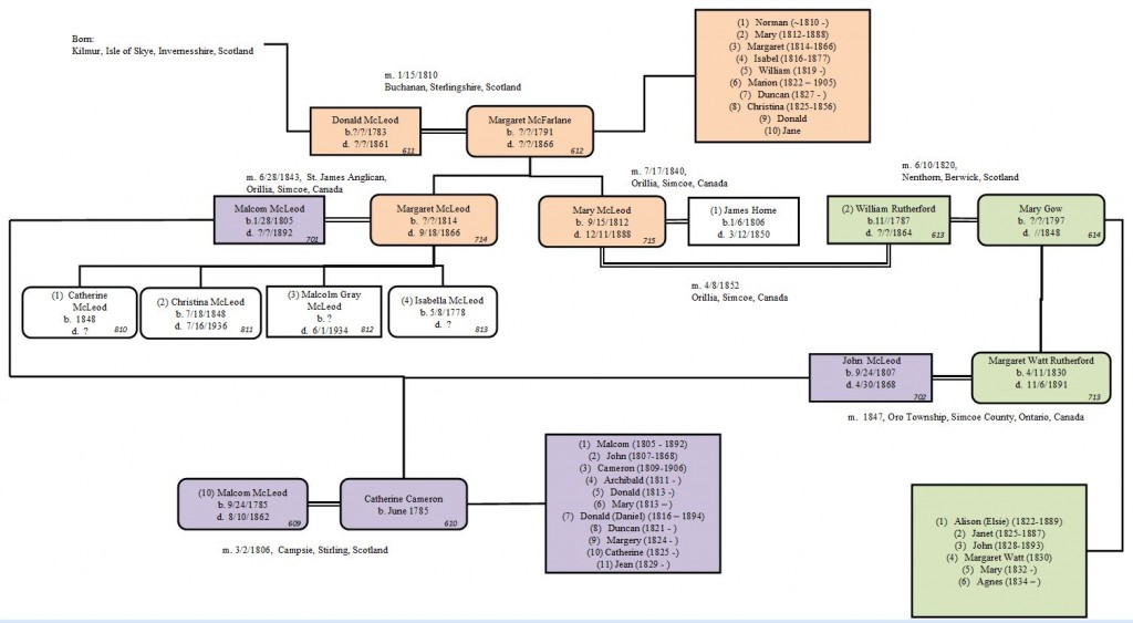 The McLeods of Rhu » Malcom McLeod 1805